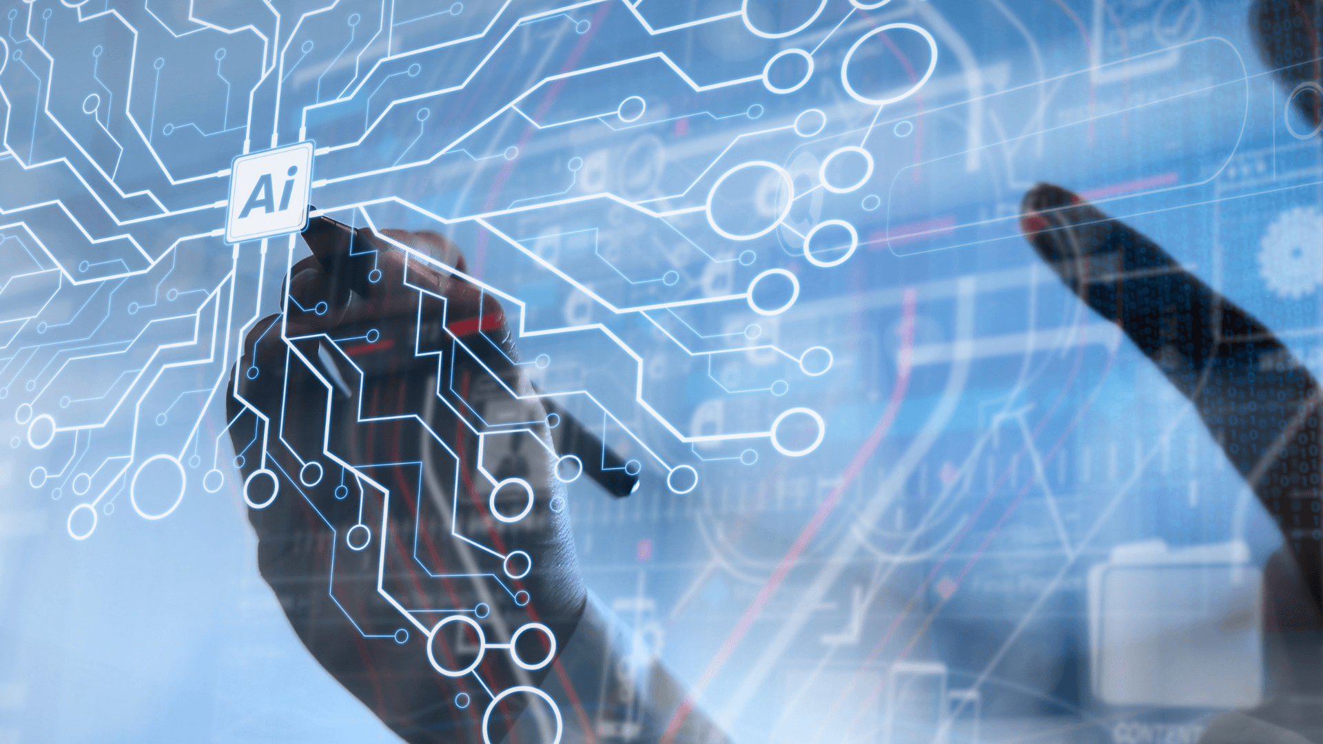 Nexford | Our programs